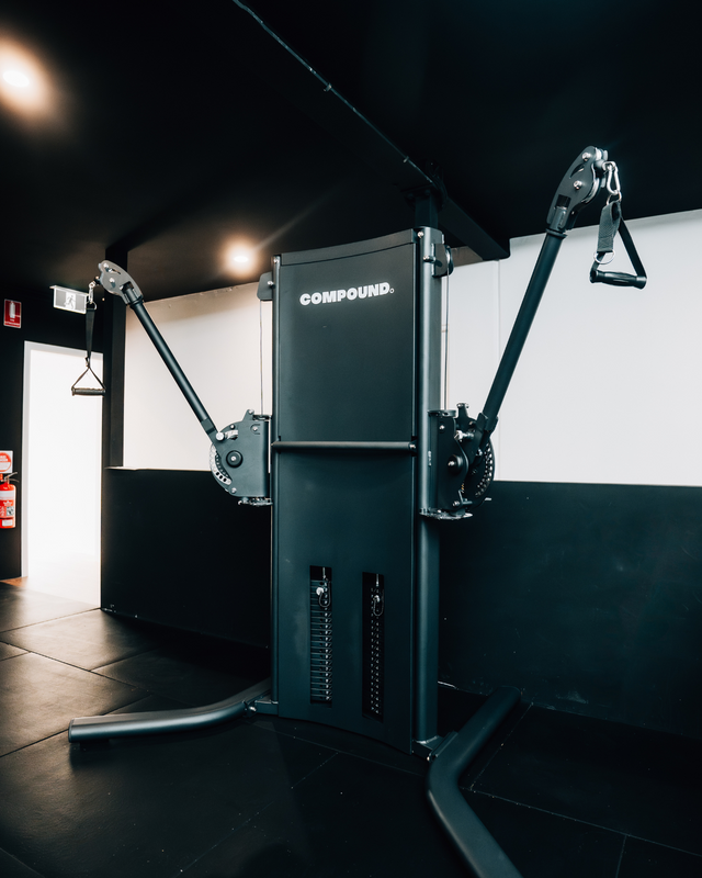 Platinum Series - Dual Arm Functional Trainer | COMPOUND Fitness ...