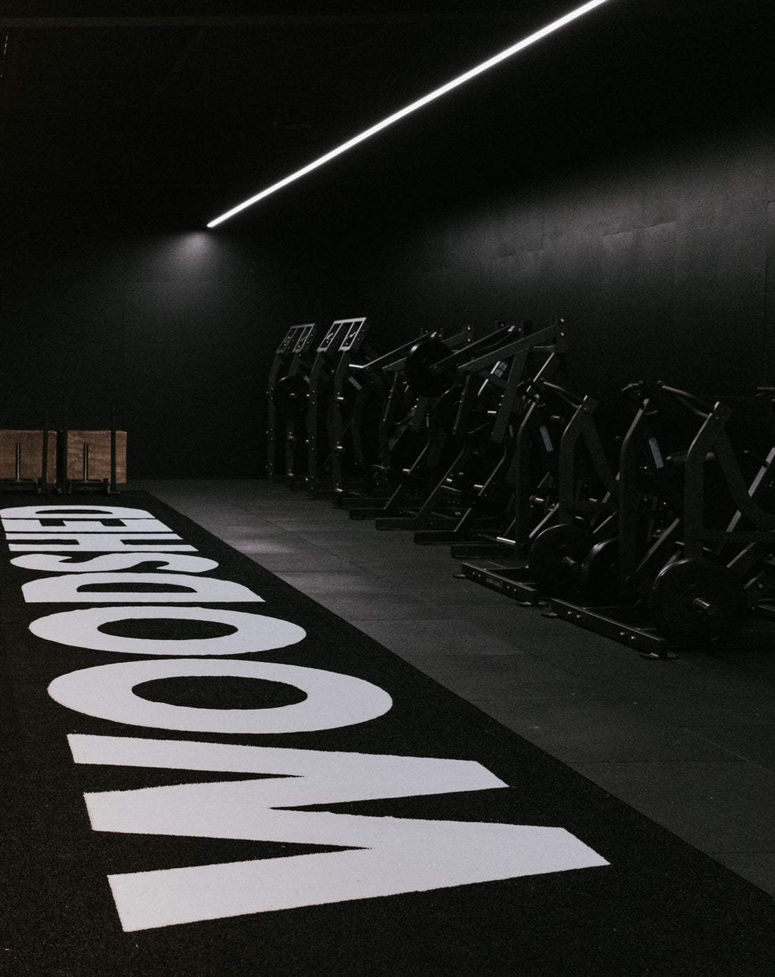 Compound Fitness - Gym Fitness Equipment Online – Compound Fitness ...